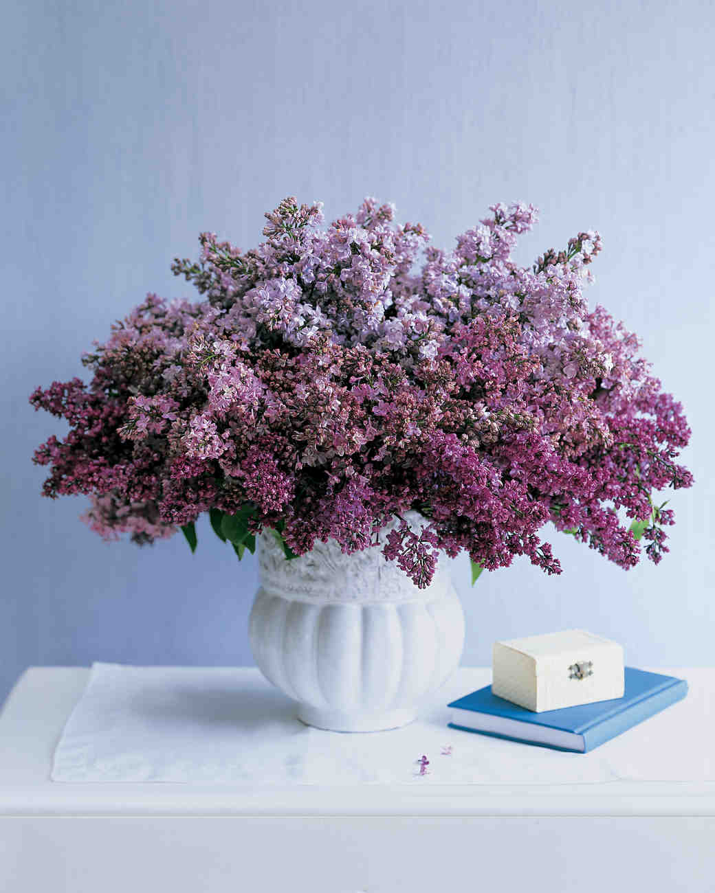 22 Aubergine Wedding Decorations Ijabbsah 22 Aubergine Wedding Decorations Ijabbsah
