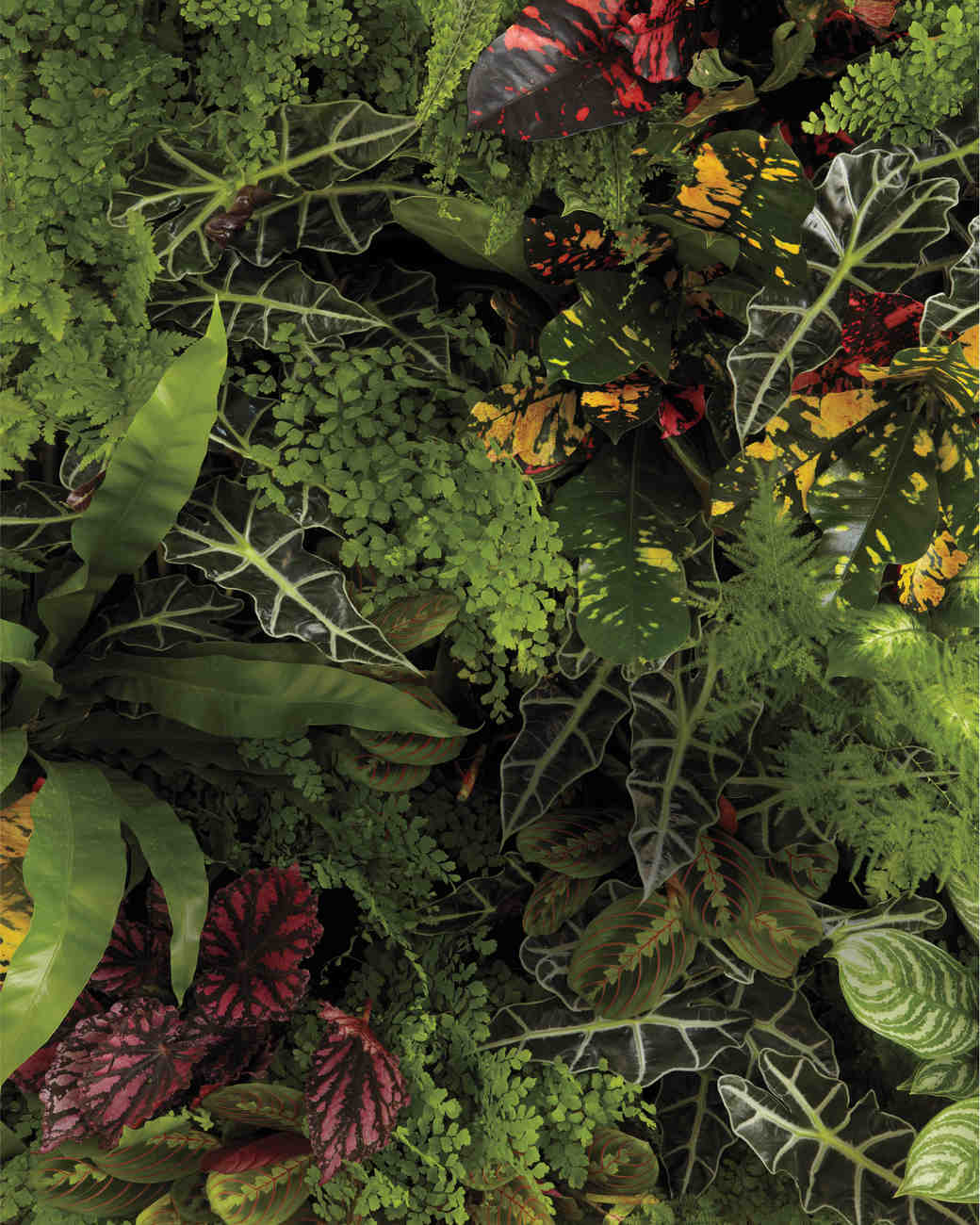 5 Spectacular Flower Walls to Inspire Your Own Wedding Backdrop ...